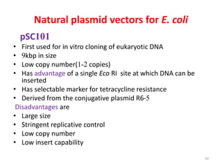 Gene cloning and plasmid vectors | PDF