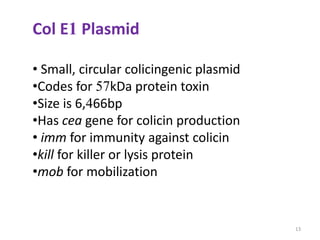 Gene cloning and plasmid vectors | PDF