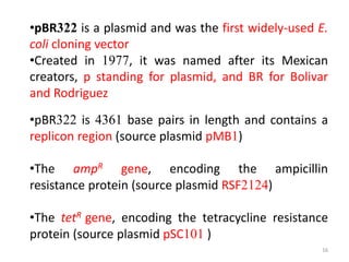 Gene cloning and plasmid vectors | PDF