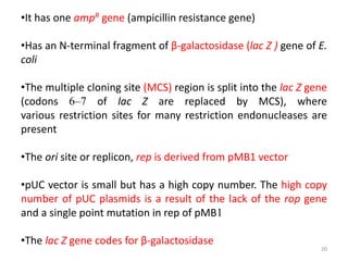 Gene cloning and plasmid vectors | PDF
