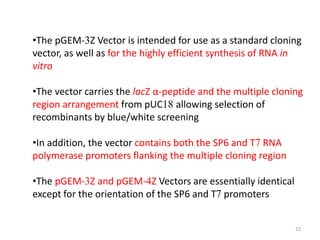 Gene cloning and plasmid vectors | PDF
