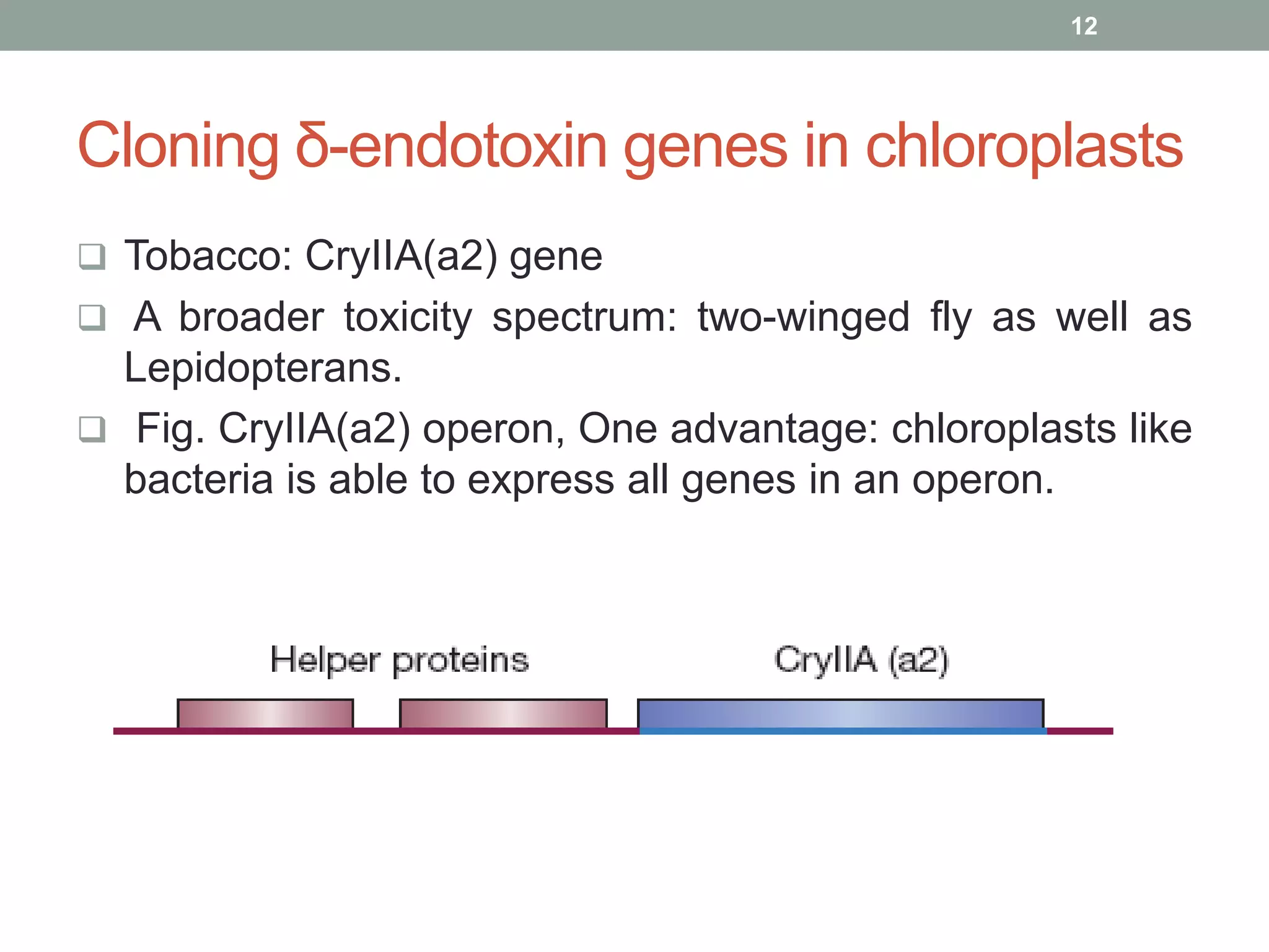 Gene cloning in agriculture | PPTX
