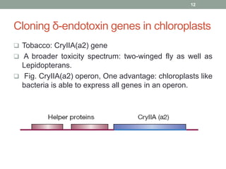 Gene cloning in agriculture | PPTX