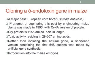Gene cloning in agriculture | PPTX