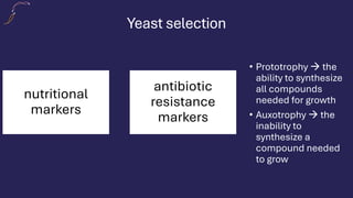 gene cloning in eukaryotes (gene transfer).pdf
