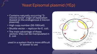 gene cloning in eukaryotes (gene transfer).pdf