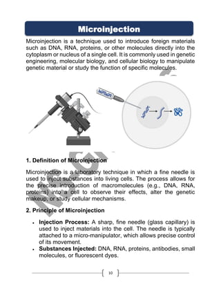 Gene Cloning its Tools & Methods in Detailed for B.Sc. Biotech/Botany ...