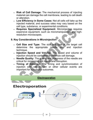Gene Cloning its Tools & Methods in Detailed for B.Sc. Biotech/Botany ...