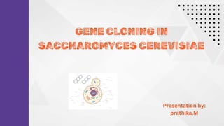 Gene cloning S. cerevisiae 1gene cloning geneneral outline | PDF