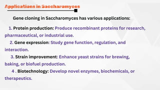 Gene cloning S. cerevisiae 1gene cloning geneneral outline | PDF
