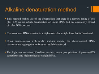 Gene Cloning | PPTX