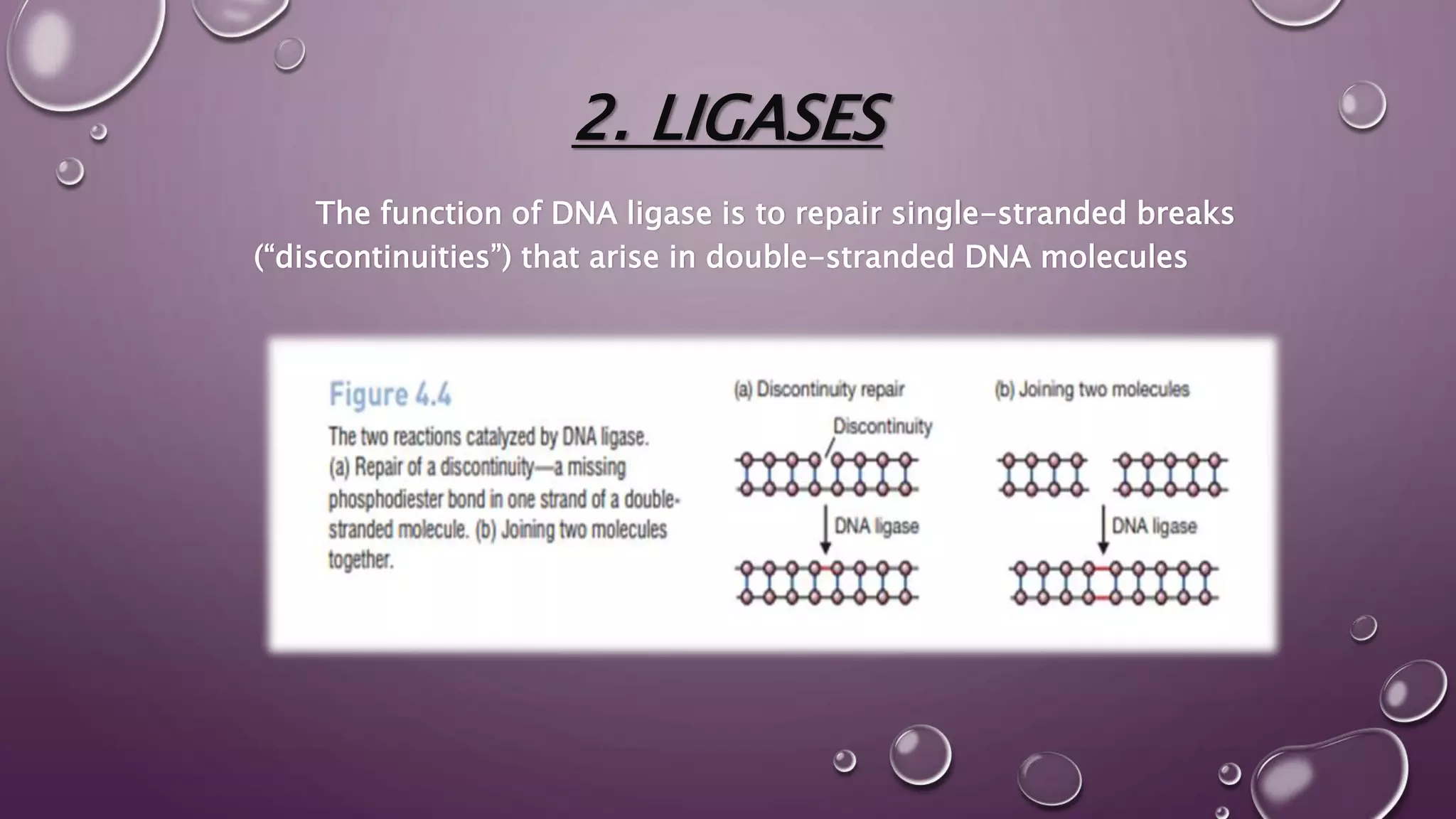 Gene Cloning Steps Ppt