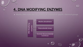 Gene cloning steps | PPT