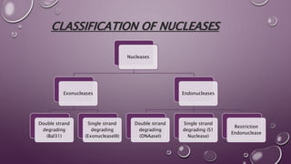 Gene cloning steps | PPT
