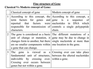 Gene concept.pptx
