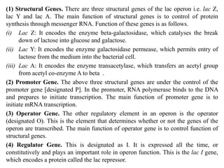 Gene concept.pptx