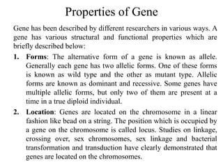 Gene concept.pptx