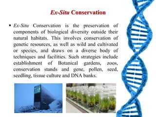 Gene Conservation, Types, Management and Advantages | PPTX