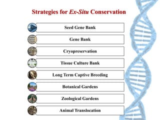 Gene Conservation, Types, Management and Advantages | PPTX