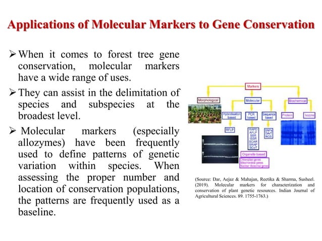 Gene Conservation, Types, Management and Advantages | PPT