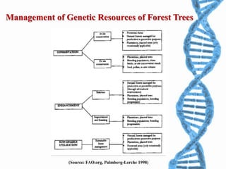 Gene Conservation, Types, Management and Advantages | PPTX