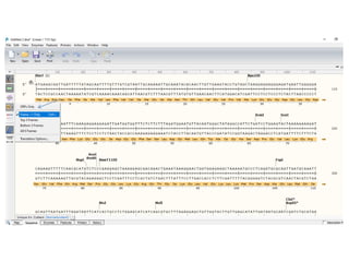 Gene construct development- Asif-6 17-6-22.pdf