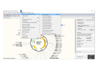 Gene construct development- Asif-6 17-6-22.pdf