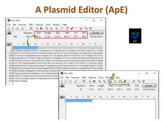Gene construct development- Asif-6 17-6-22.pdf