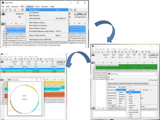 Gene construct development- Asif-6 17-6-22.pdf