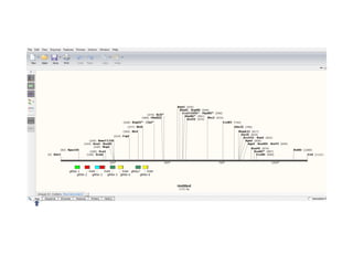 Gene construct development- Asif-6 17-6-22.pdf
