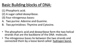 Gene control and function | PPTX