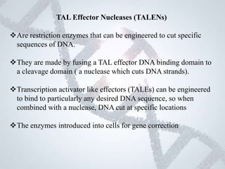 GENE CORRECTION.pptx