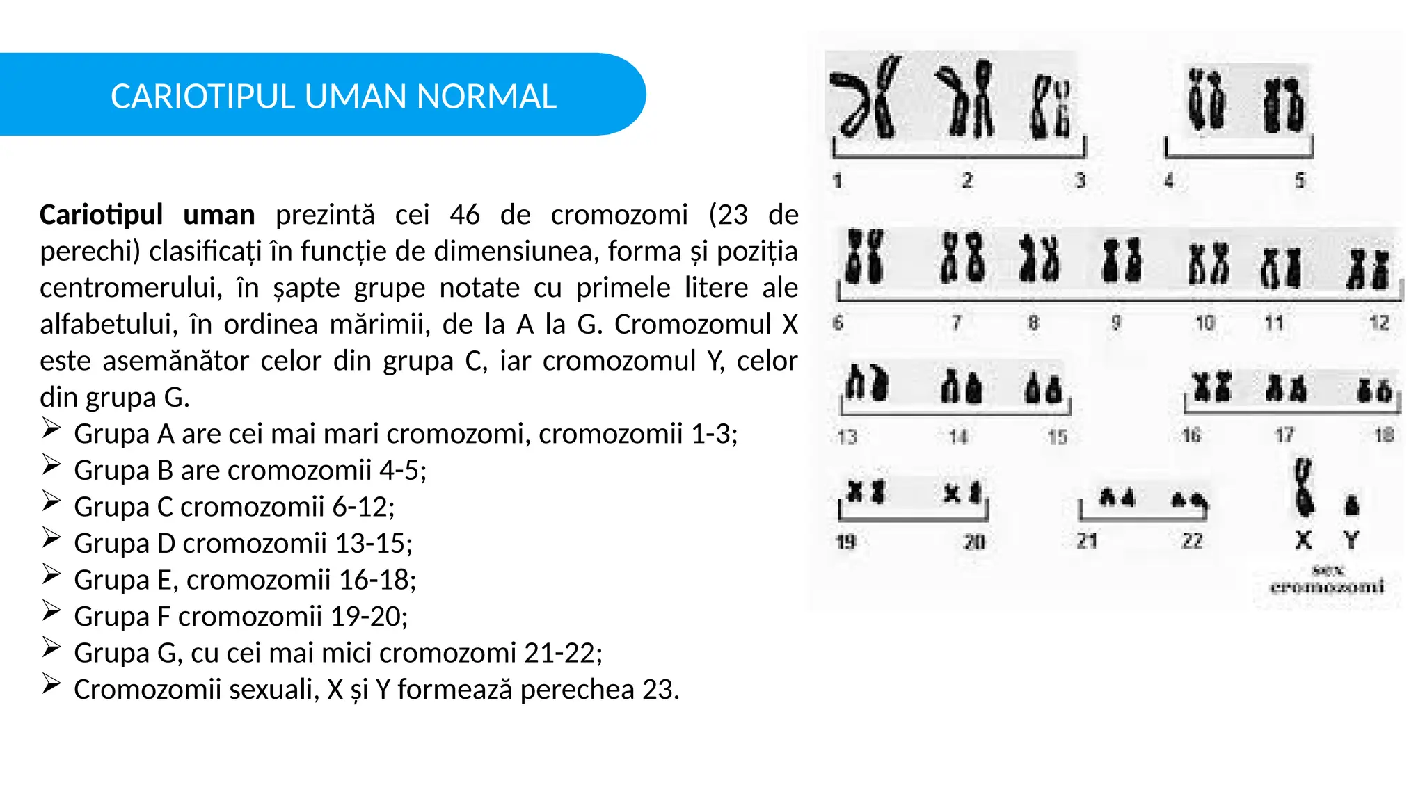 gene_cromozombbi_cariotipul_uman (2).pptx