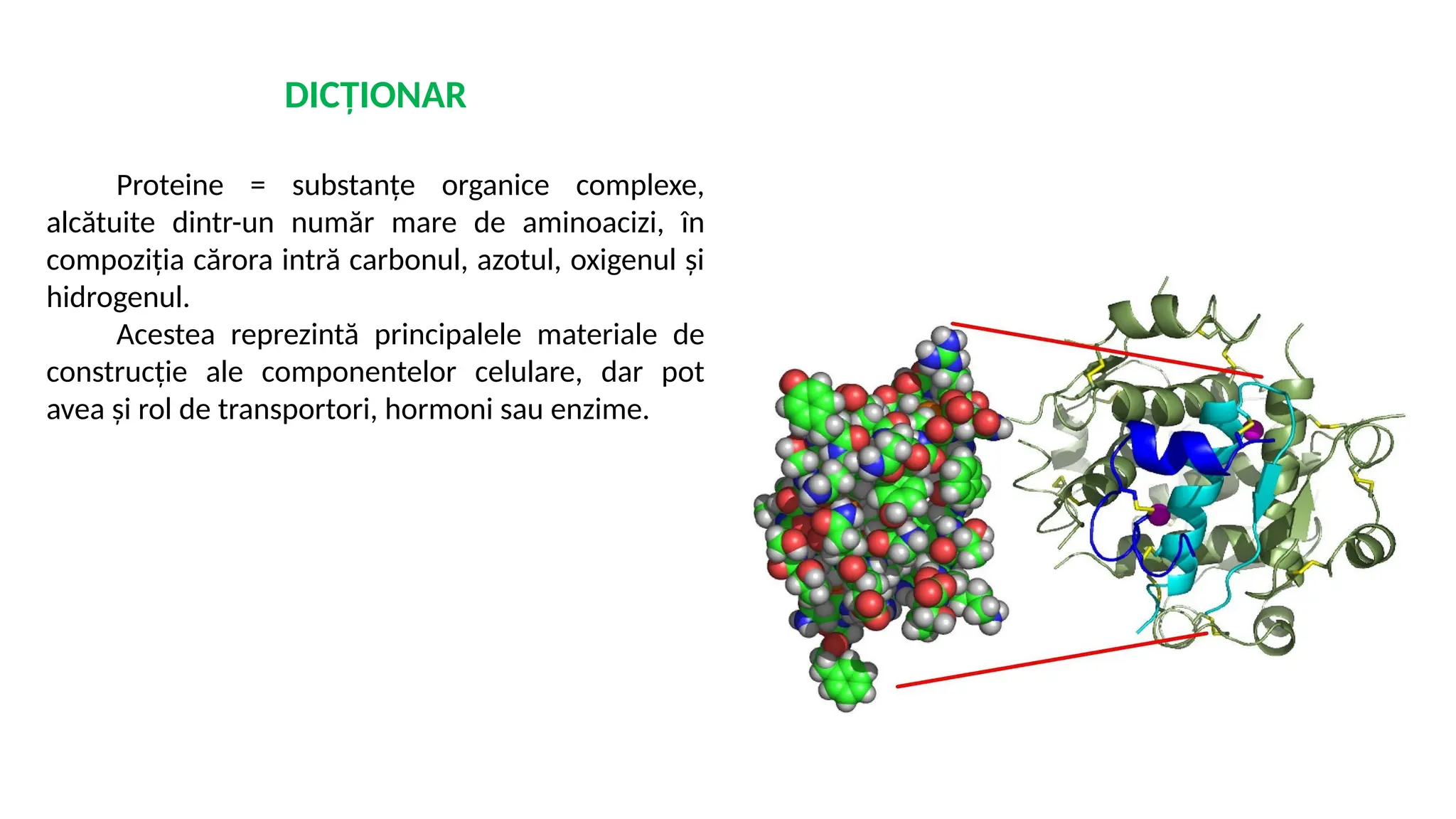 gene_cromozombbi_cariotipul_uman (2).pptx