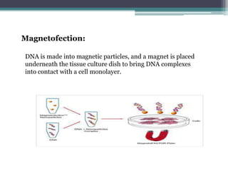 Gene delivery system | PPTX