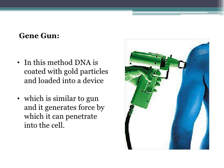 Gene delivery system