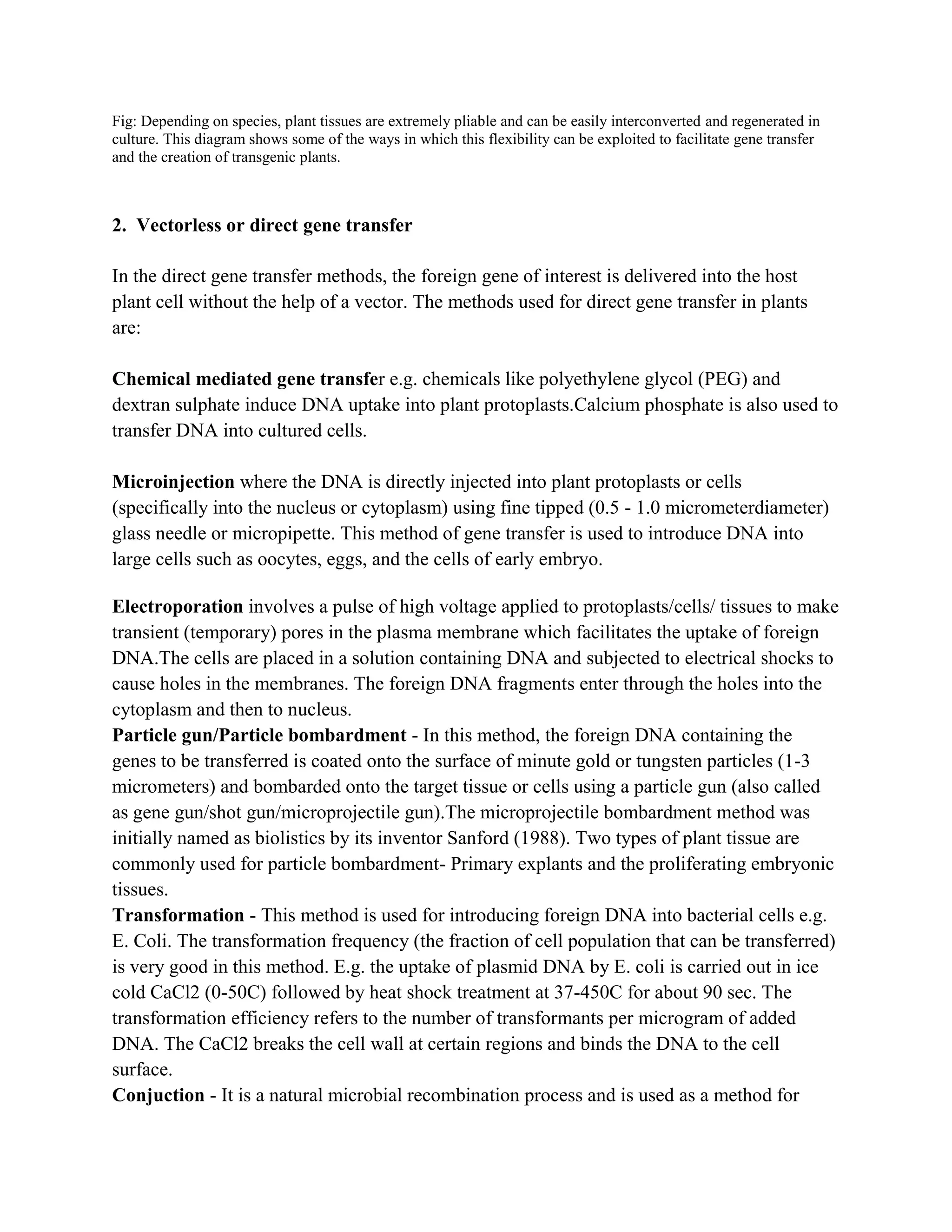 Gene delivery System | DOCX