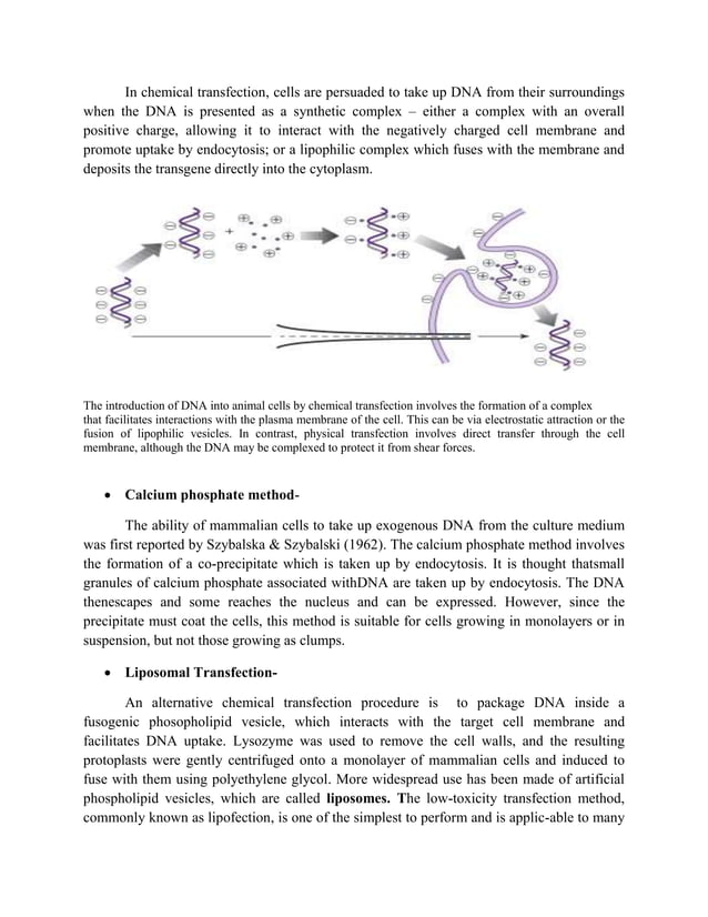 Gene delivery System | DOCX | Genetics | Science