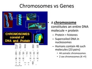 Gene discovery | PPT