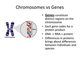 Gene discovery | PPT