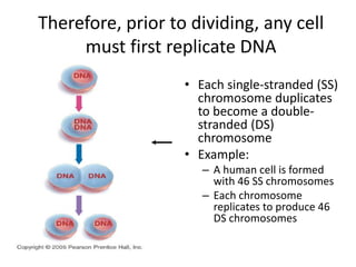 Gene discovery | PPT
