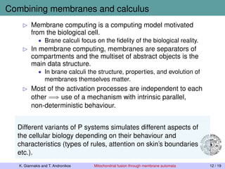 Mitochondrial Fusion Through Membrane Automata | PPT