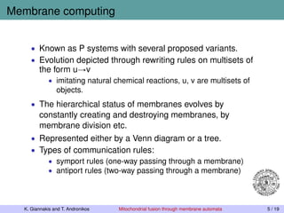 Mitochondrial Fusion Through Membrane Automata | PPT
