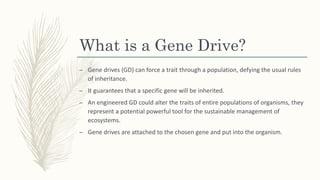 Gene drives | PPTX