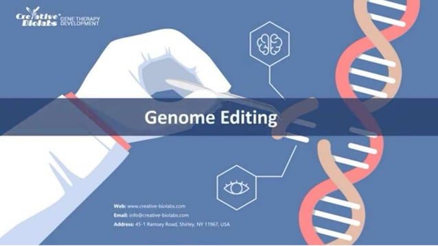 Gene Editing | PPTX | Genetics | Science