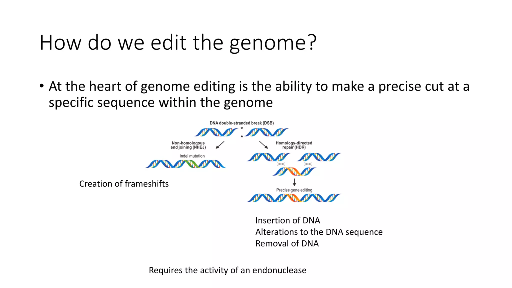 Gene editing.pdf