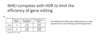 Gene editing.pdf