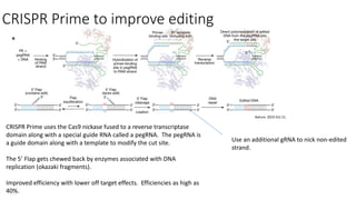 Gene editing.pdf