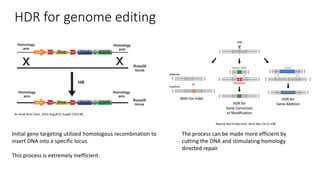 Gene editing.pdf