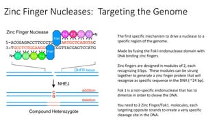Gene editing.pdf